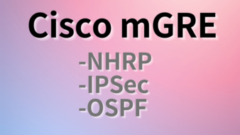 Cisco DMVPN（Dynamic Multipoint VPN) mGRE/NHRPについて（OSPF） | Start-NW